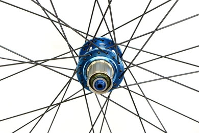 Portfolio – Gridless.dev